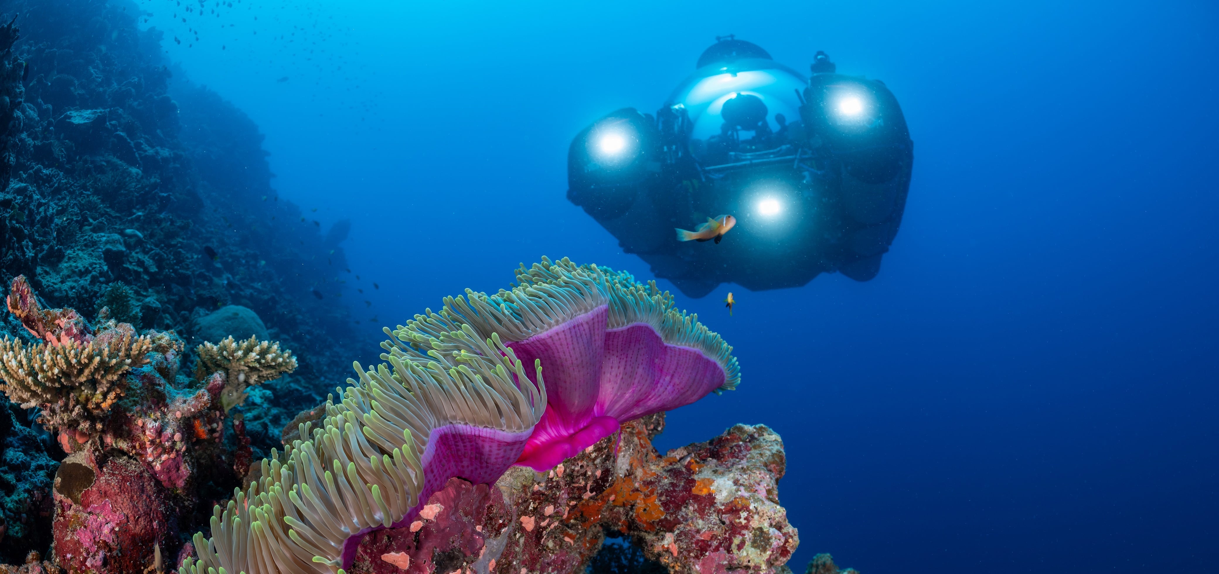 Oxford University joins largest ever ocean survey in a global effort to ...