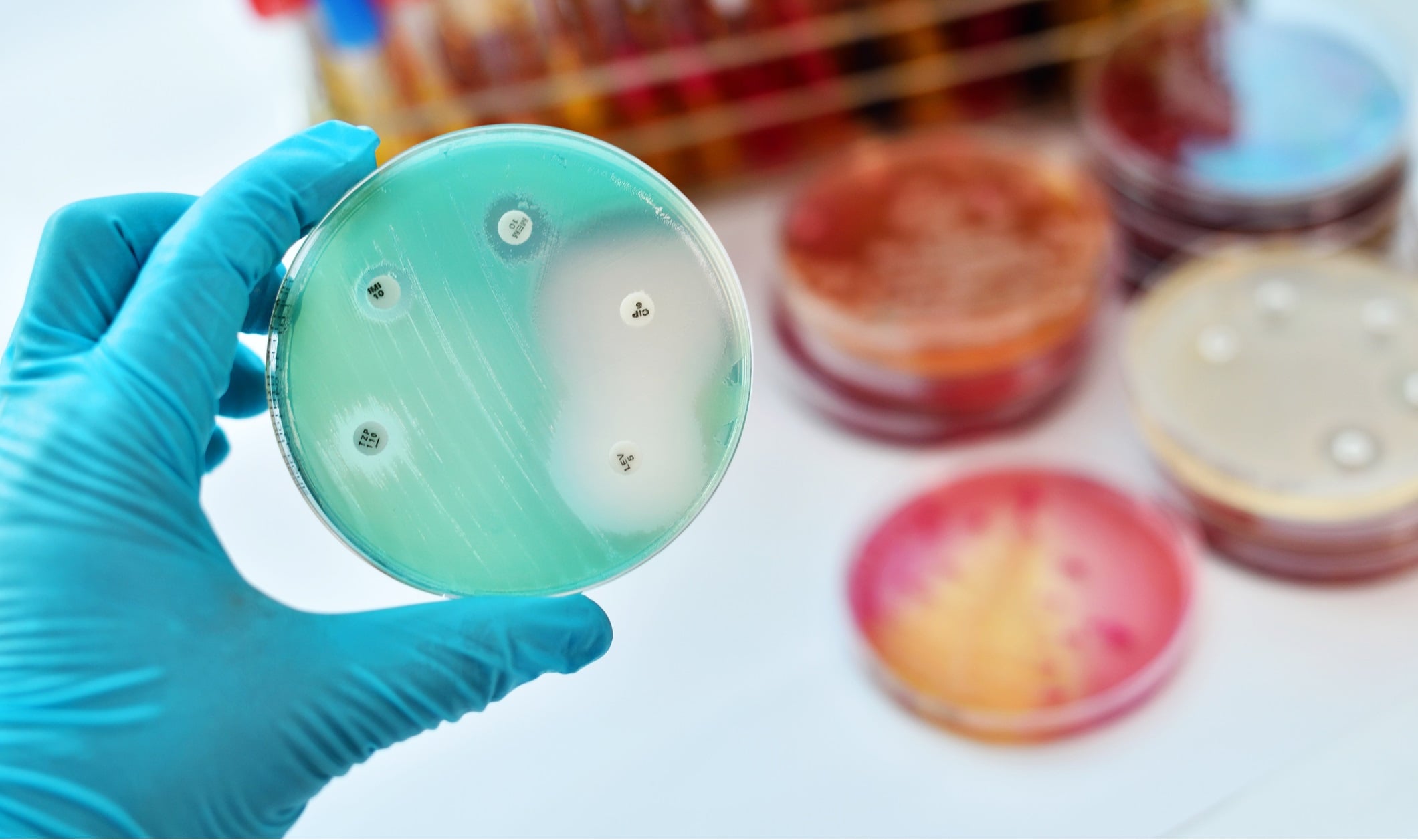 Novel triple drug combination effective against antibiotic-resistant ...