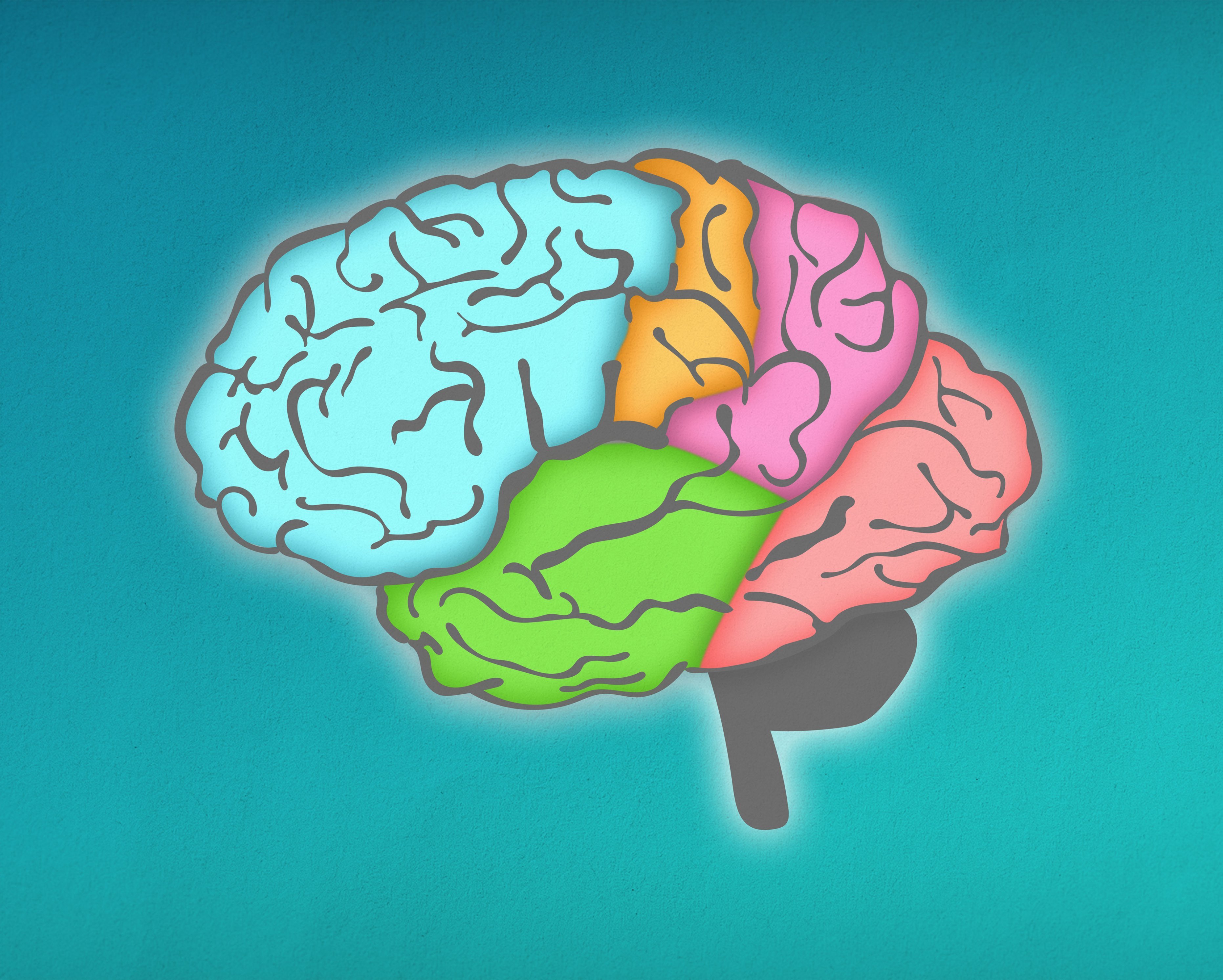 Paediatric Neuroimaging Group launches animation series to support ...