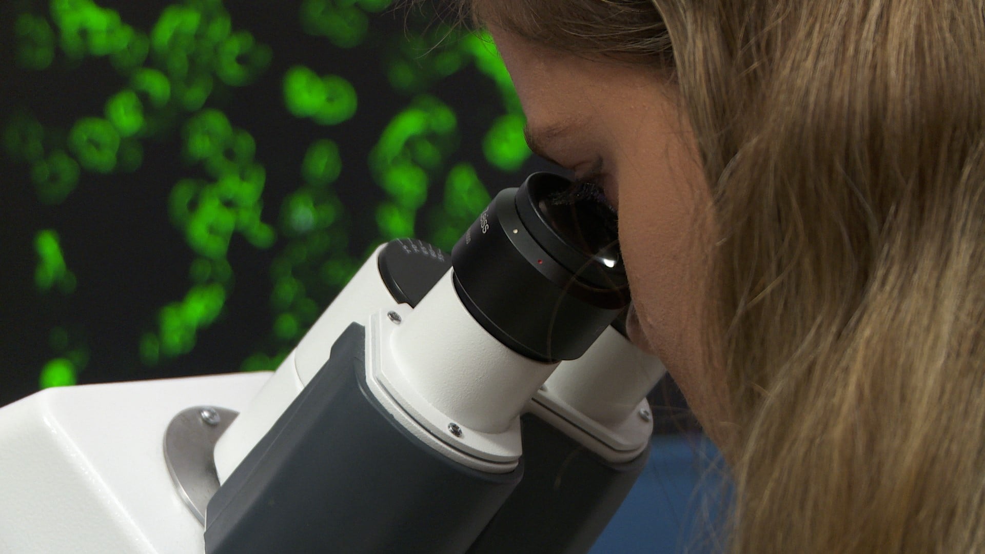 MSc by Research in Clinical Neurosciences | University of Oxford