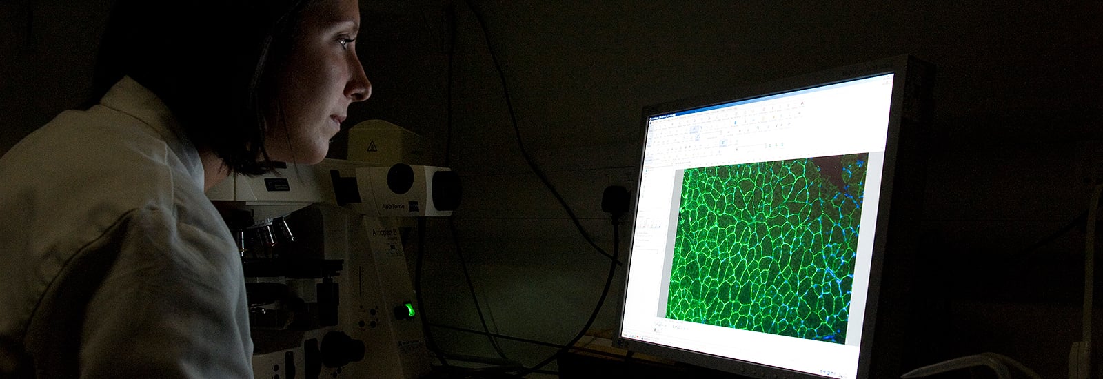 DPhil in Physiology, Anatomy and Genetics | University of Oxford