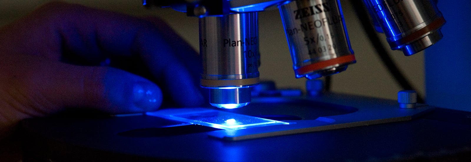 DPhil in Pharmacology | University of Oxford