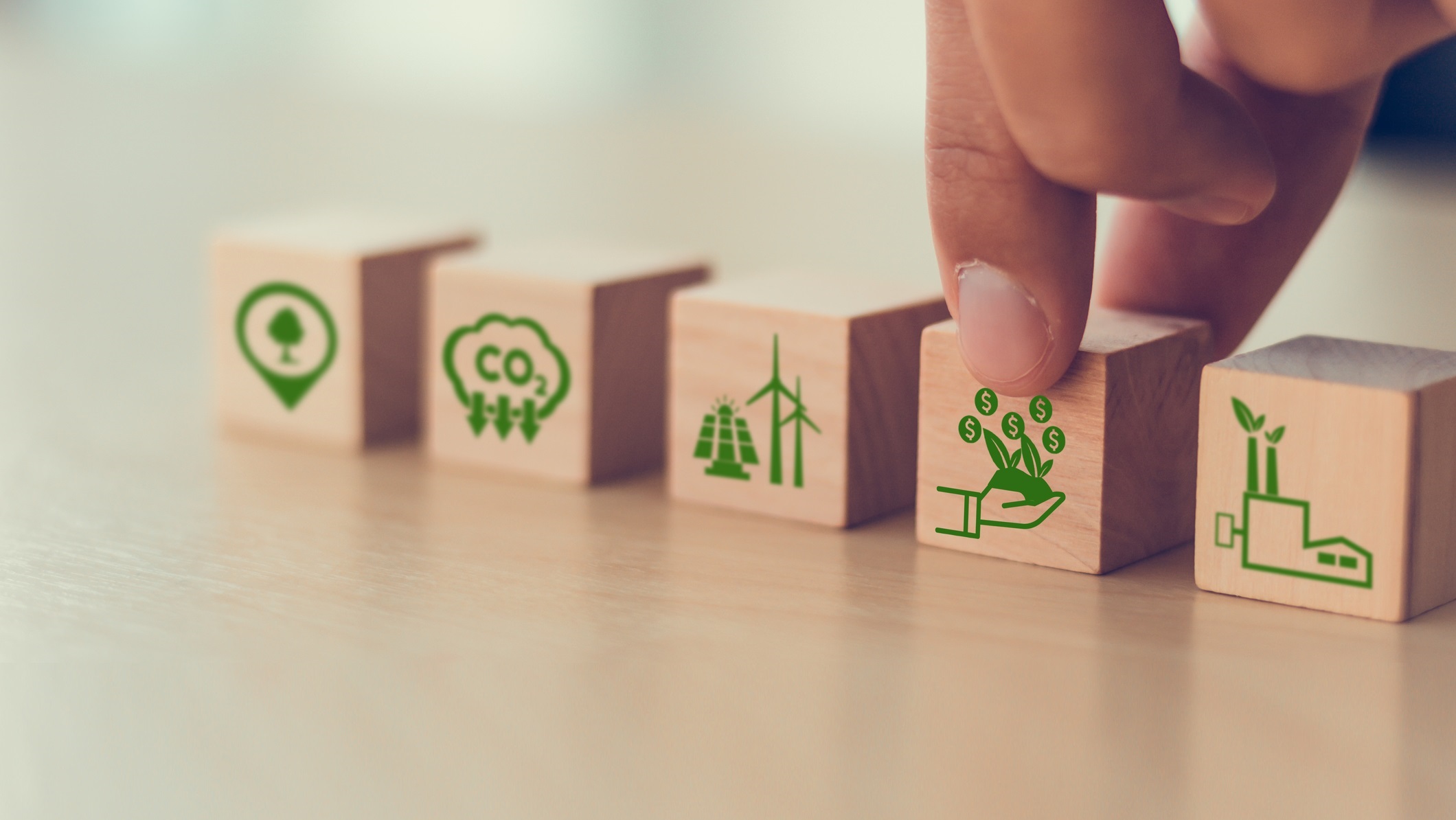 Oxford researchers launch updated carbon offsetting principles ...