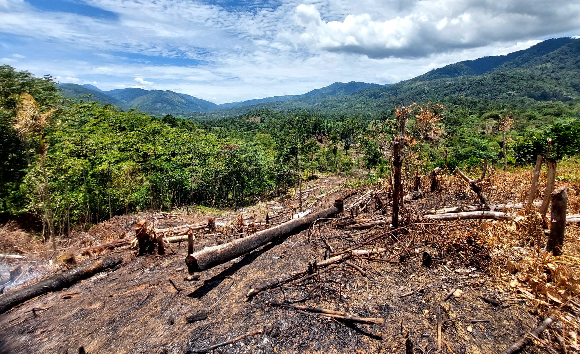 New research finds that nature-based solutions are essential for Brazil ...