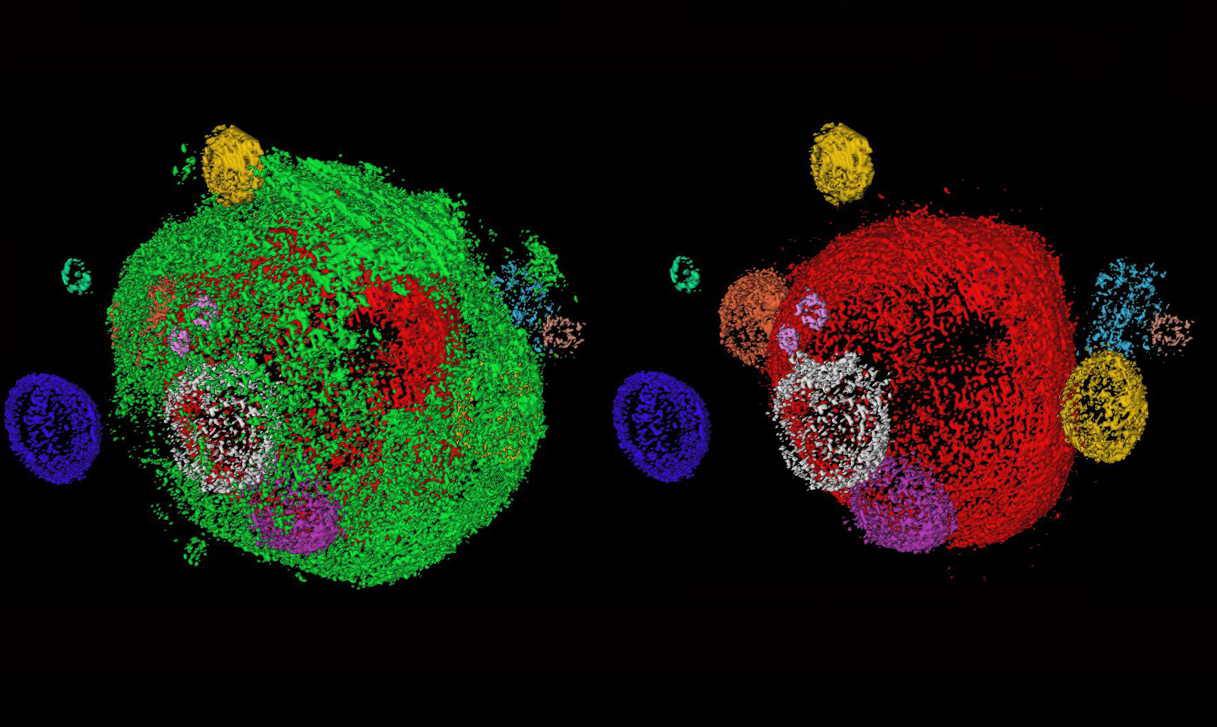 Early life hunt inspired by oldest fossils debate | University of Oxford