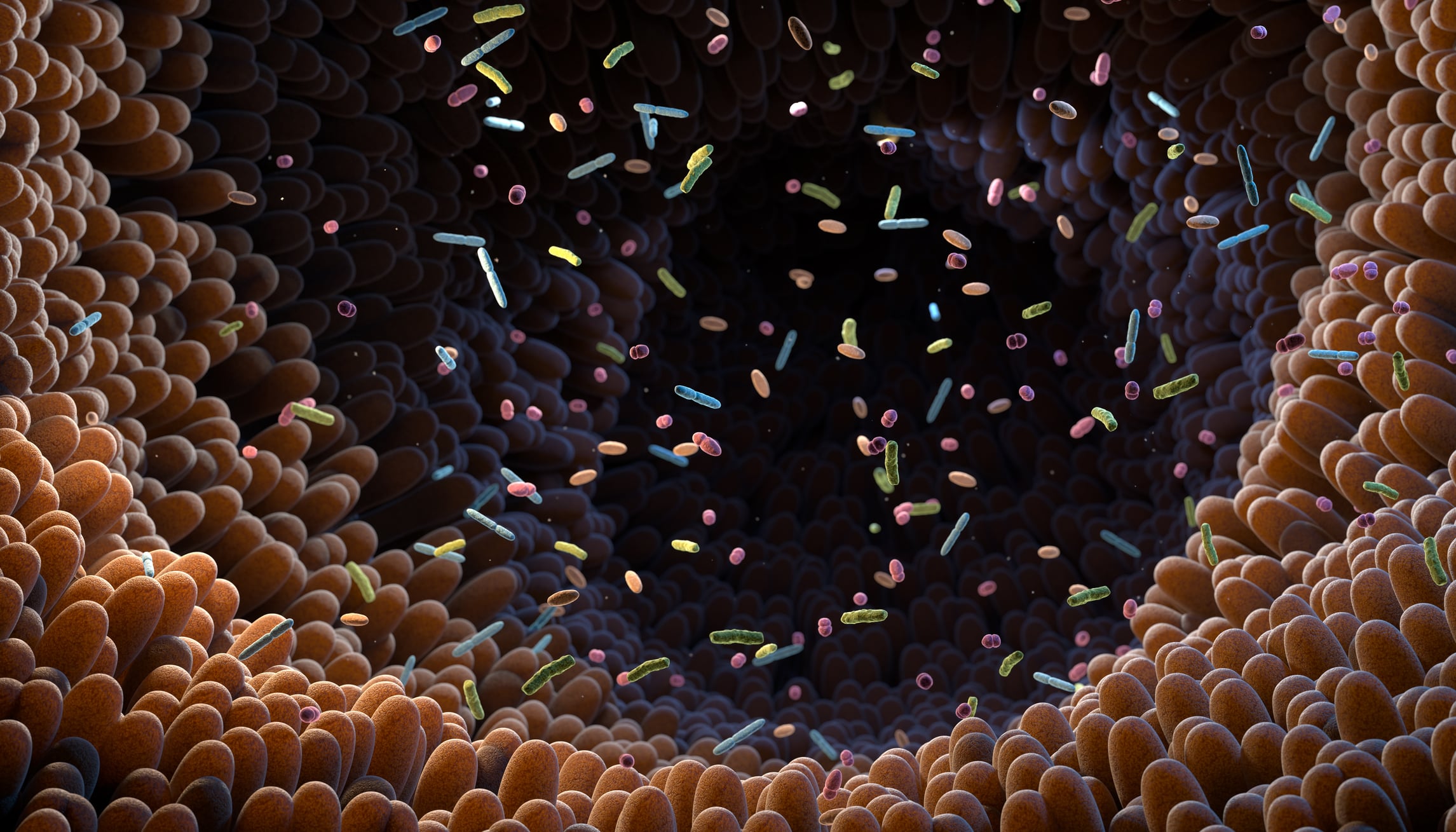 Study shows diverse gut bacteria communities protect against harmful ...