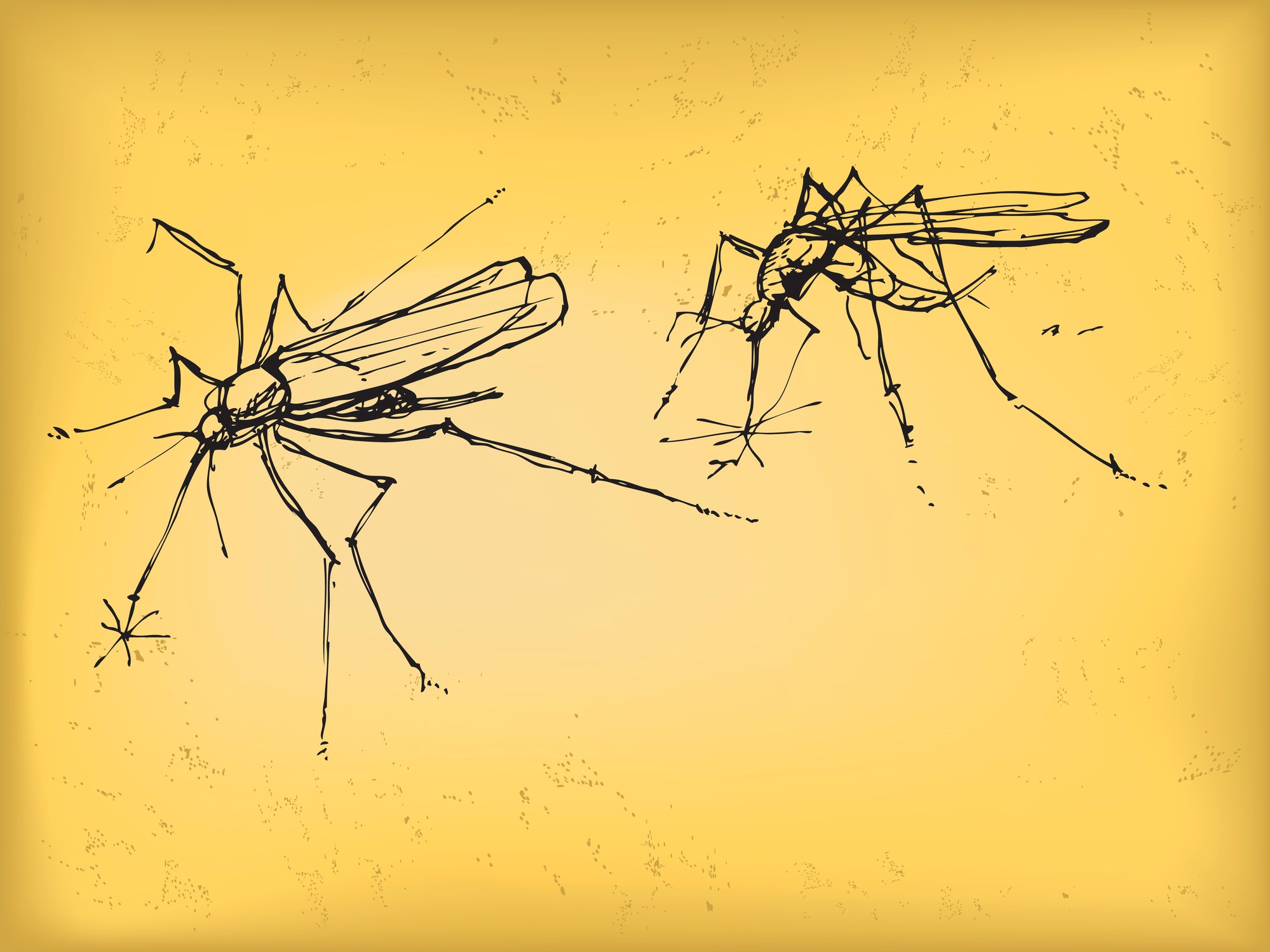 Highly effective, R21/Matrix-M™ malaria vaccine developed by University ...