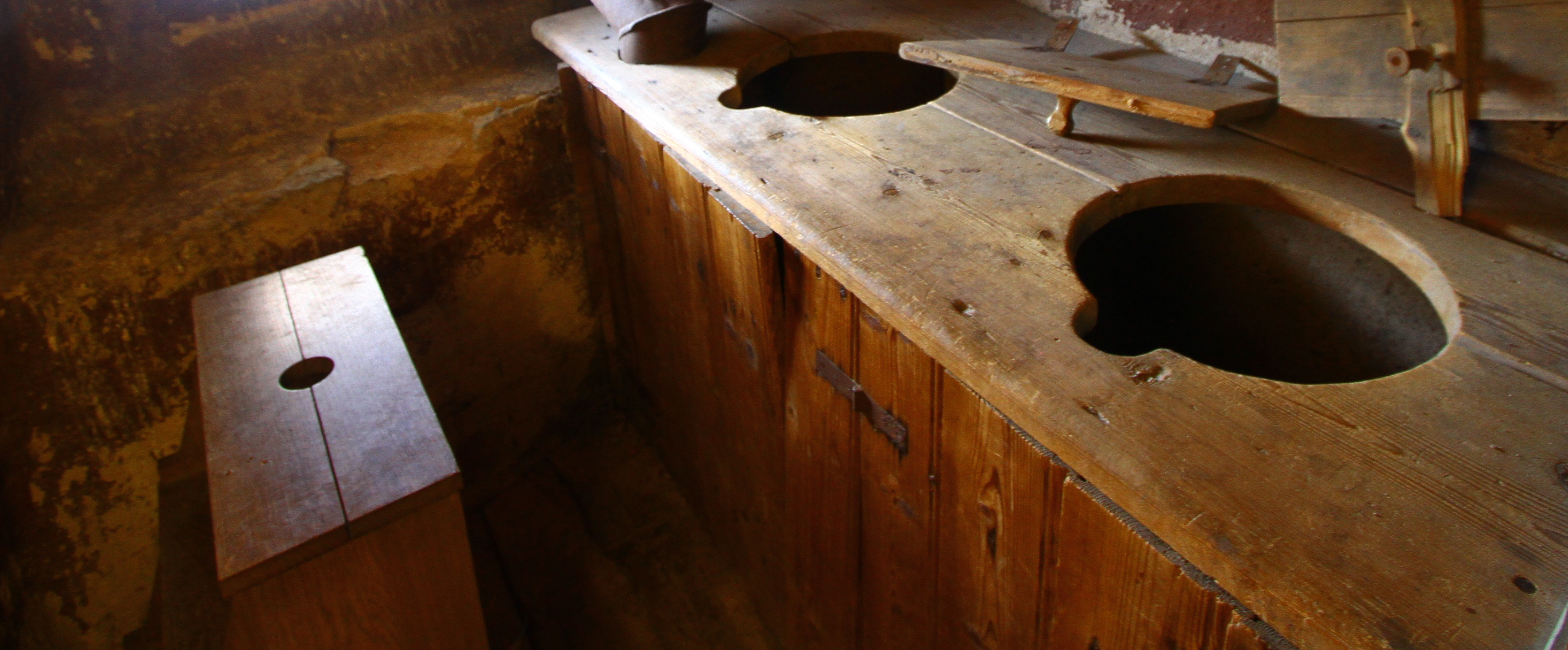 Parasites from medieval latrines unlock secrets of human history ...