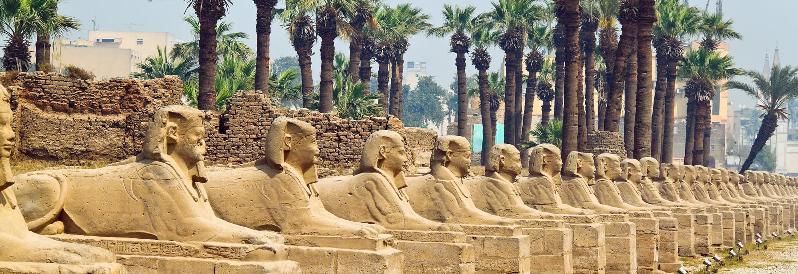 Middle East & North Africa region | University of Oxford