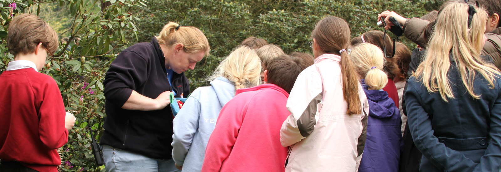 Teachers' resources | University of Oxford