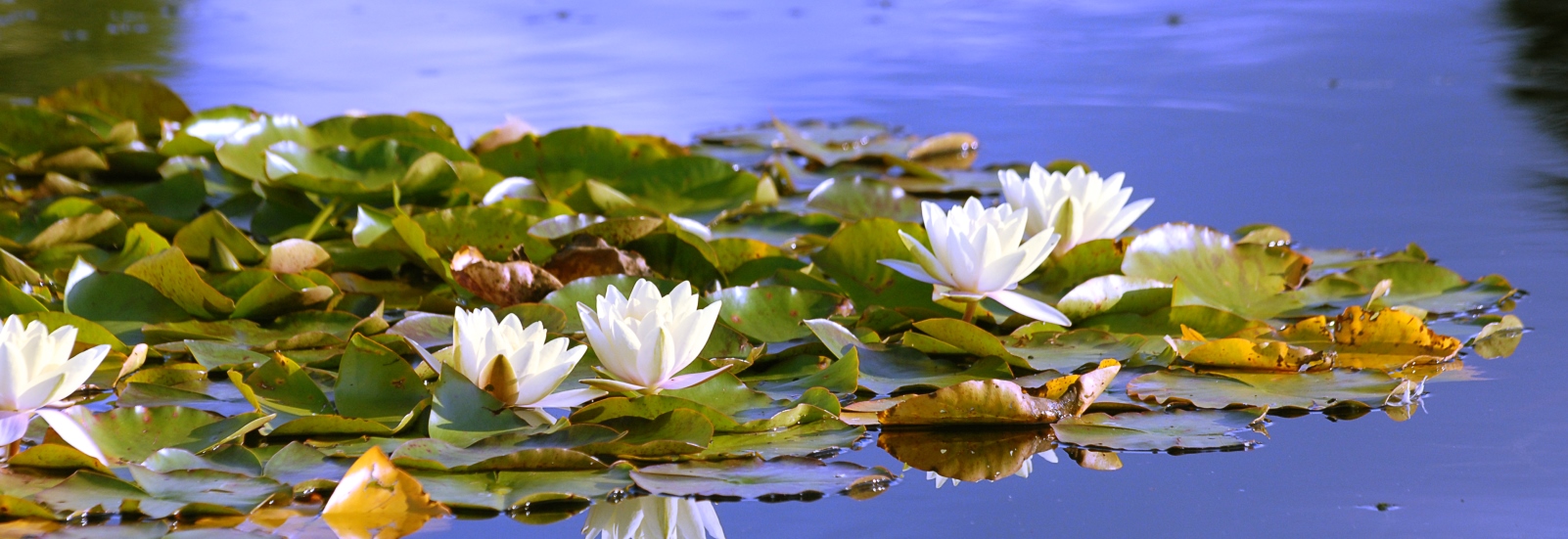 Self and identity | University of Oxford