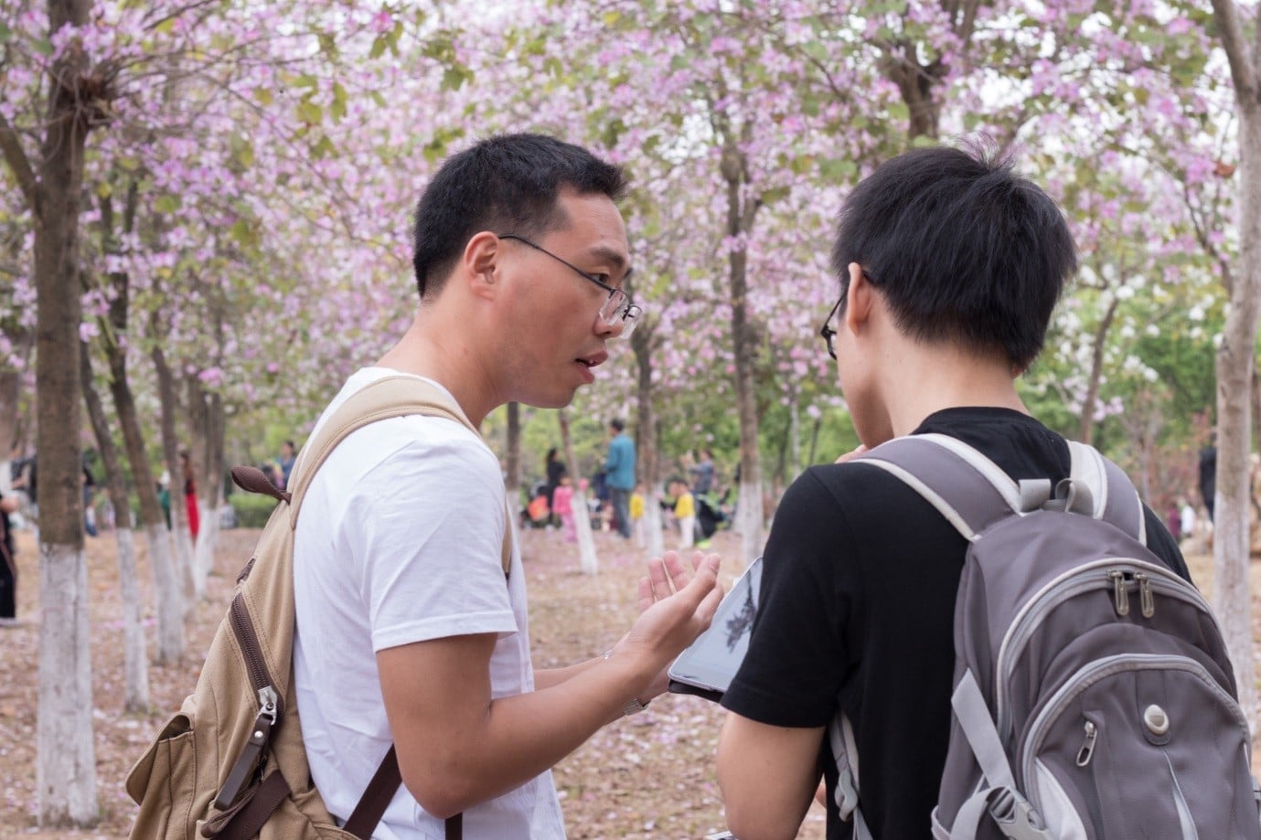 Asking sensitive questions in the field of conservation | University of ...