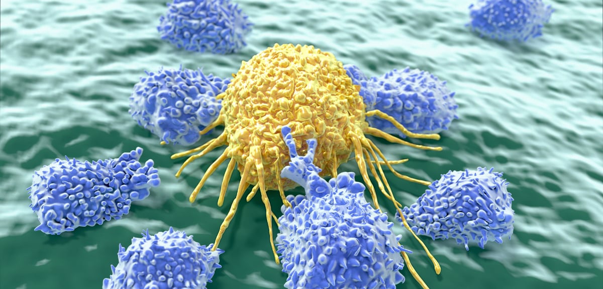 Protein that switches cancers from inflammation to proliferation ...