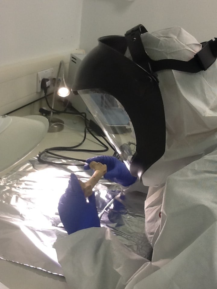 Project for whole genome sequencing of extinct flightless birds ...