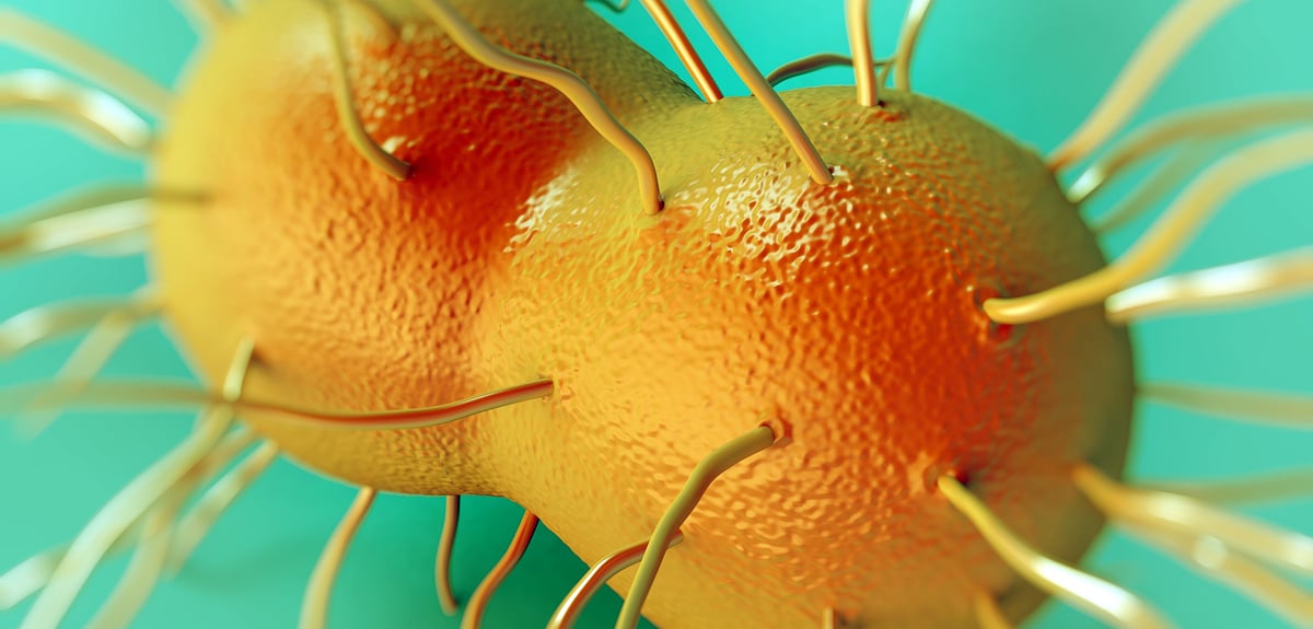 Gene sequencing offers way to beat global spread of gonorrhoea ...