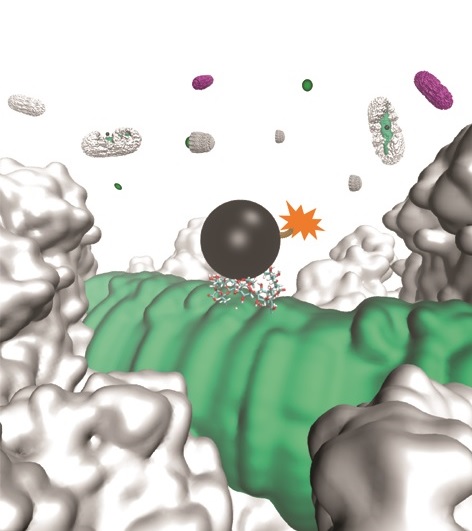 Set vaccines to stun: how a novel technique could help combat ...