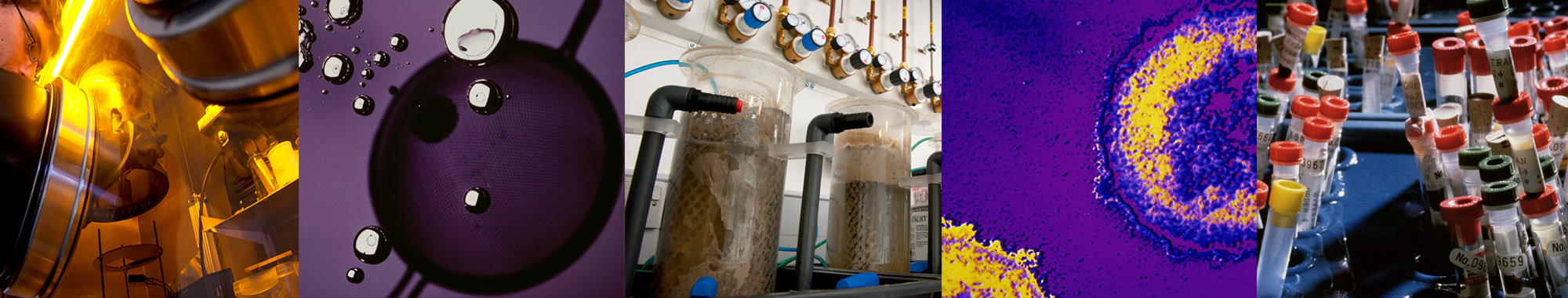 The Science Behind The SME | University of Oxford