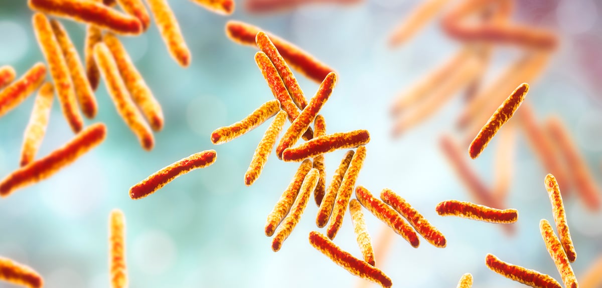 Marking 100 years of the tuberculosis BCG vaccine | University of Oxford