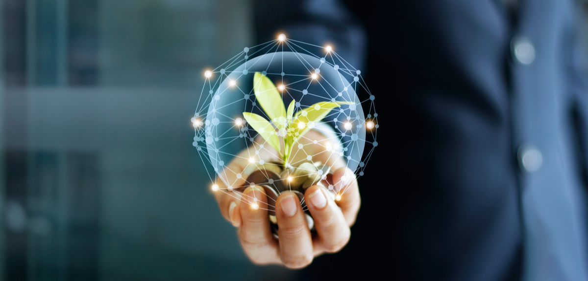 Net-zero transition planning should be mandatory across the economy ...