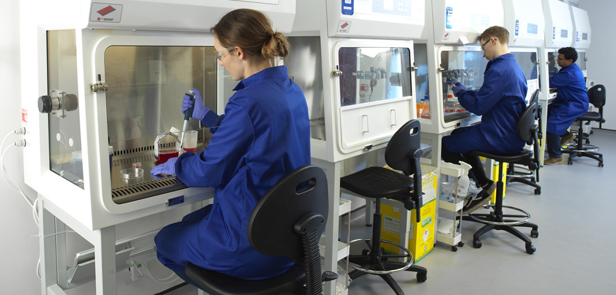 Oxford scientists win seven Royal Society of Chemistry Prizes ...