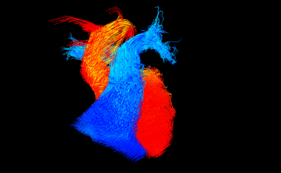 Oxford scientist wins national image competition | University of Oxford