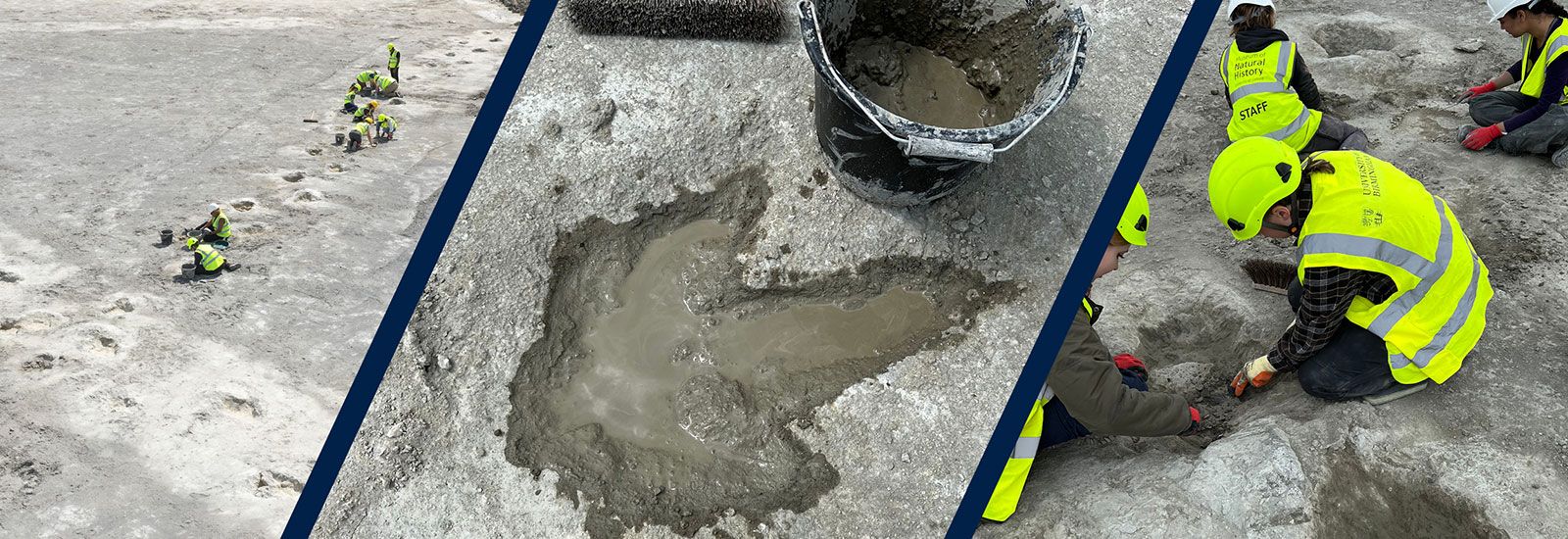 University of Oxford