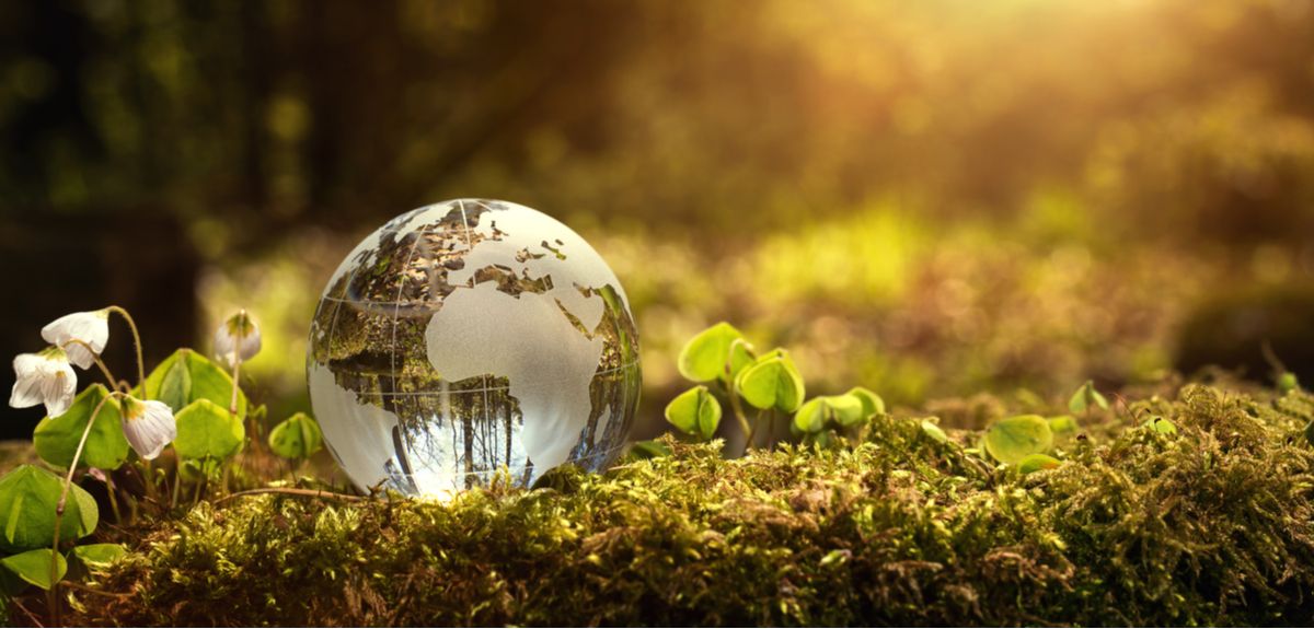 Nature-based solutions highly effective in long term - Oxford research ...