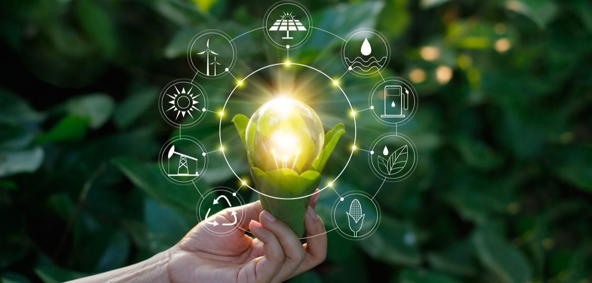 On a mission: Innovative solutions to pressing environmental problems ...