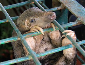 University of Oxford