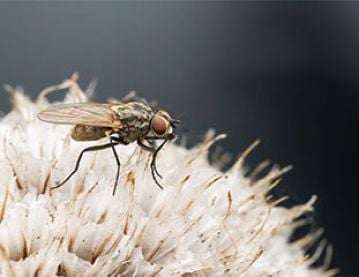 University of Oxford